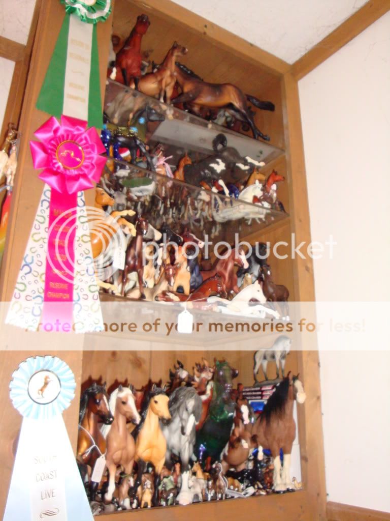Breyer Horse Display Shelves at David Carstens blog