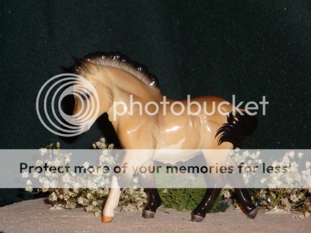 Breyer Horse Showing: Introduction to Photo Showing | Stable News